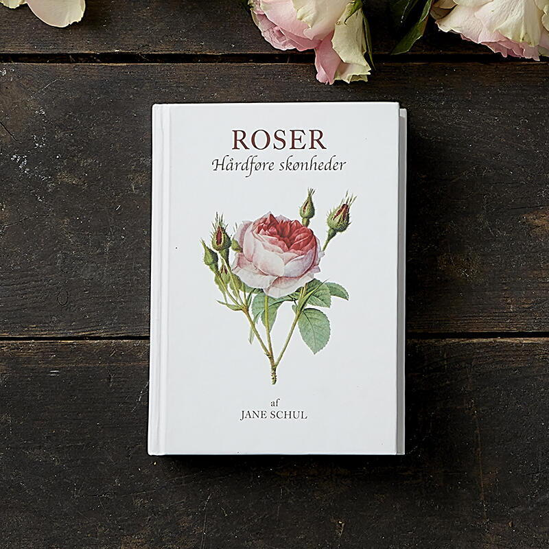 Roser - Hårdføre skønheder